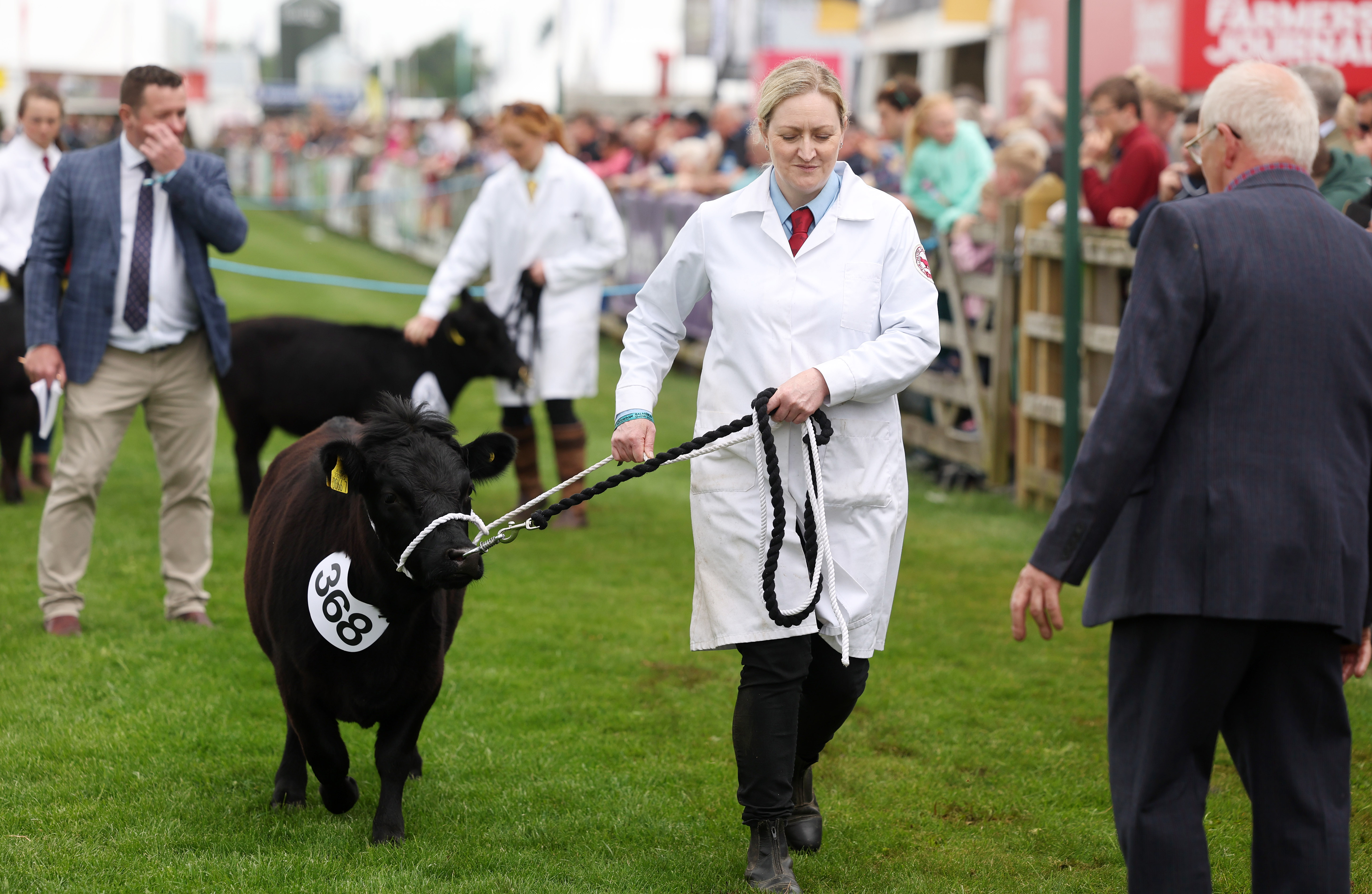 Balmoral Show off and running with thousands of visitors attending